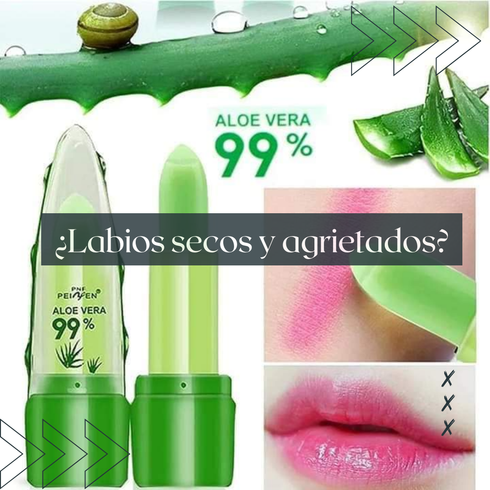 BALSAMO LABIAL ALOE VERA – Casa George